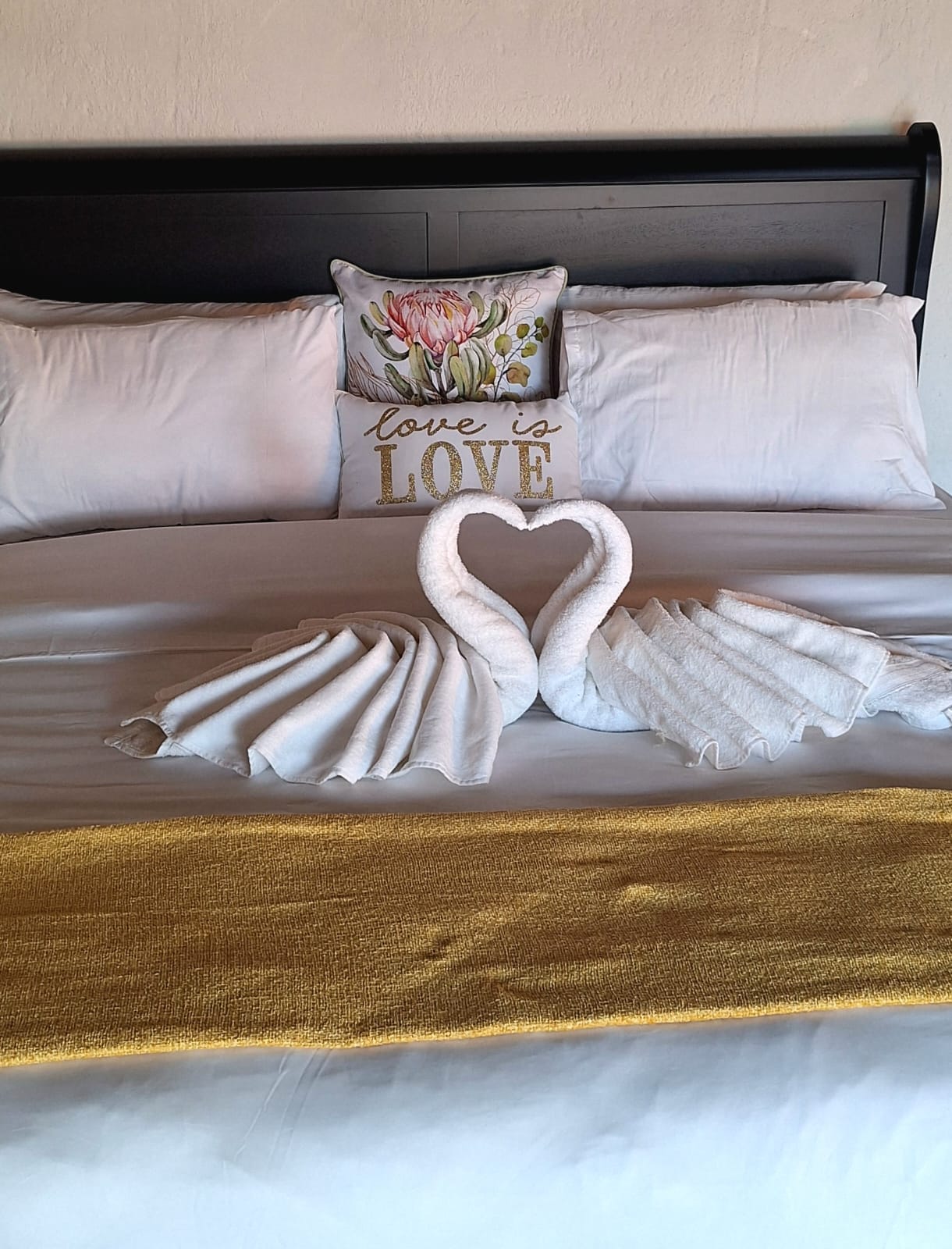 Home - Kamba Game Lodge