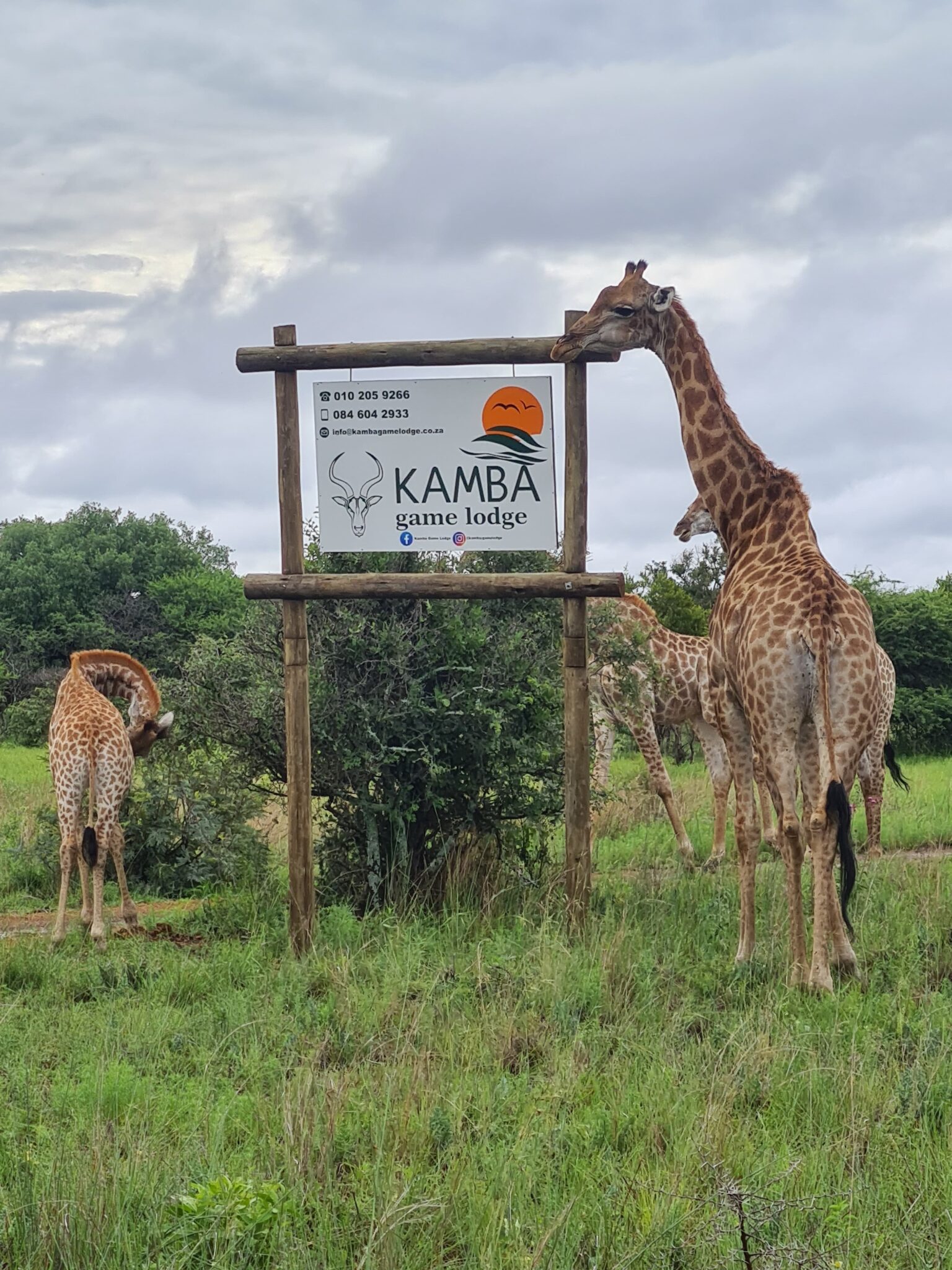 Home - Kamba Game Lodge